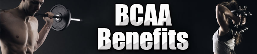 BCAA Benefits - MrSupplement.com.au