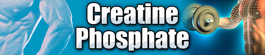 Creatine Phosphate - Mr Supplement Australia