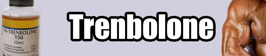 Trenbolone (Tren) Facts, Side Effects - Mr Supplement Australia