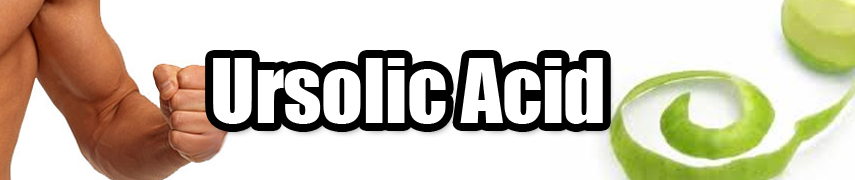 Ursolic Acid Review, Side Effects, Benefits - Mr Supplement Austra