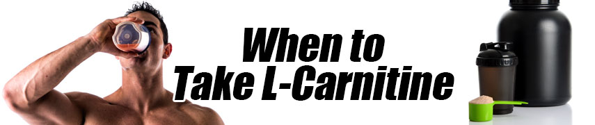 When to Take L-Carnitine - Mr Supplement Australia