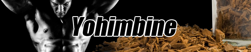 Yohimbine - Mr Supplement Australia