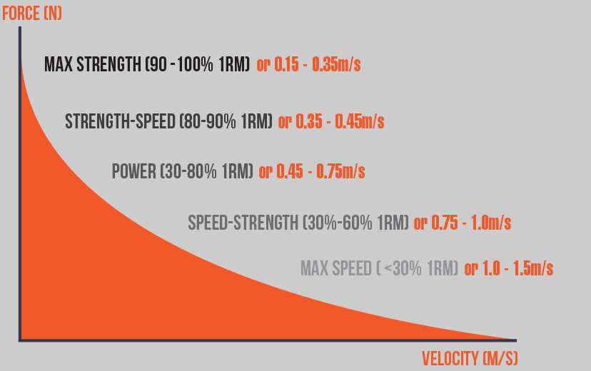 Velovicity-Based Strength Training - MrSupplement
