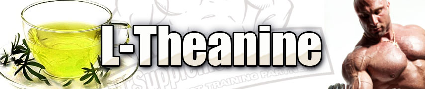 L-Theanine Benefits & Side Effects - MrSupplement.com.au Australia