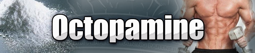 Octopamine Effects, Benefits, Side Effects - MrSupplement.com.au