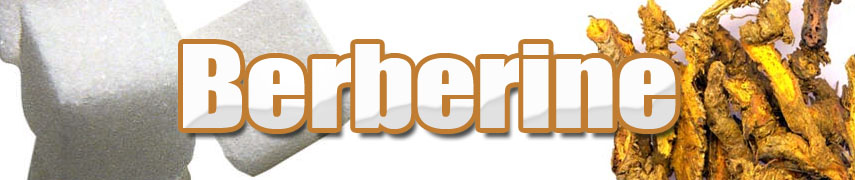 Berberine Benefits, Facts, Dosage, Side Effects - MrSupplement.com