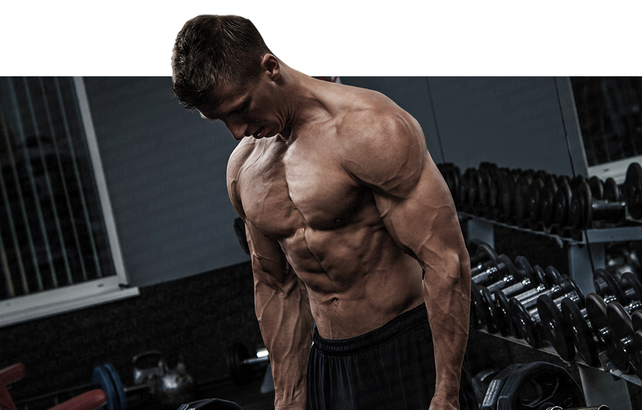 Creatine HCL by Elemental Nutrition | Creatine | Mr Supplement