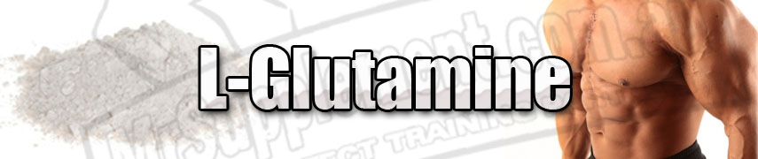 L-Glutamine Supplements, Effects, Dosage & Side Effects